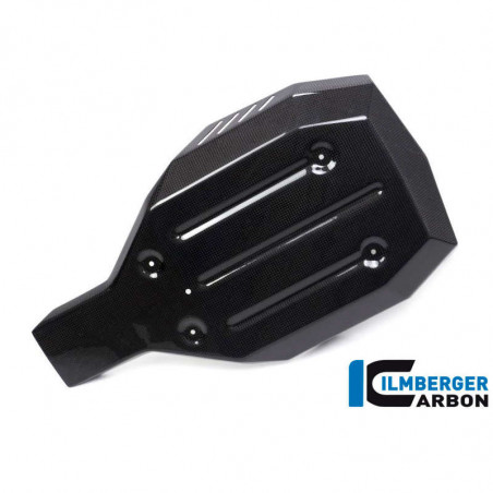 Ilmberger carbon engine cover BMW R NineT
